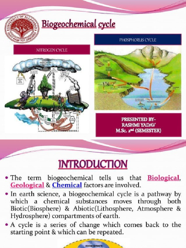 GTE Biogeochemical Cycles | PDF