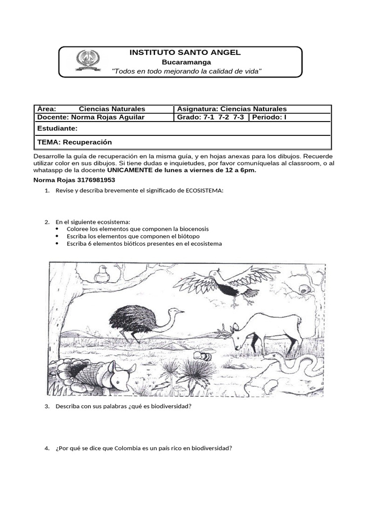 Recuperación Sexto Primer Periodo | PDF
