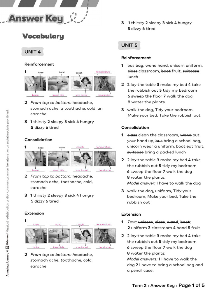 4pri - Amazing Journey - TR - Answer Key - Term 2 | PDF | Artes del ...