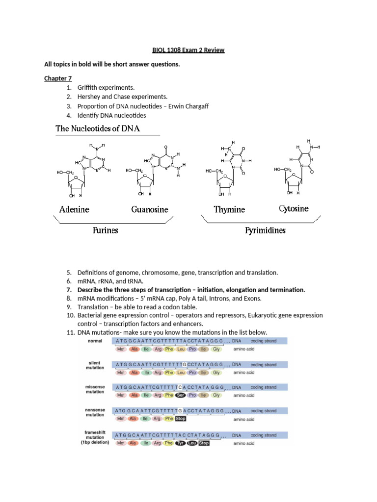 2019 Biol 1308 Exam 2 Review 1 1 Pdf