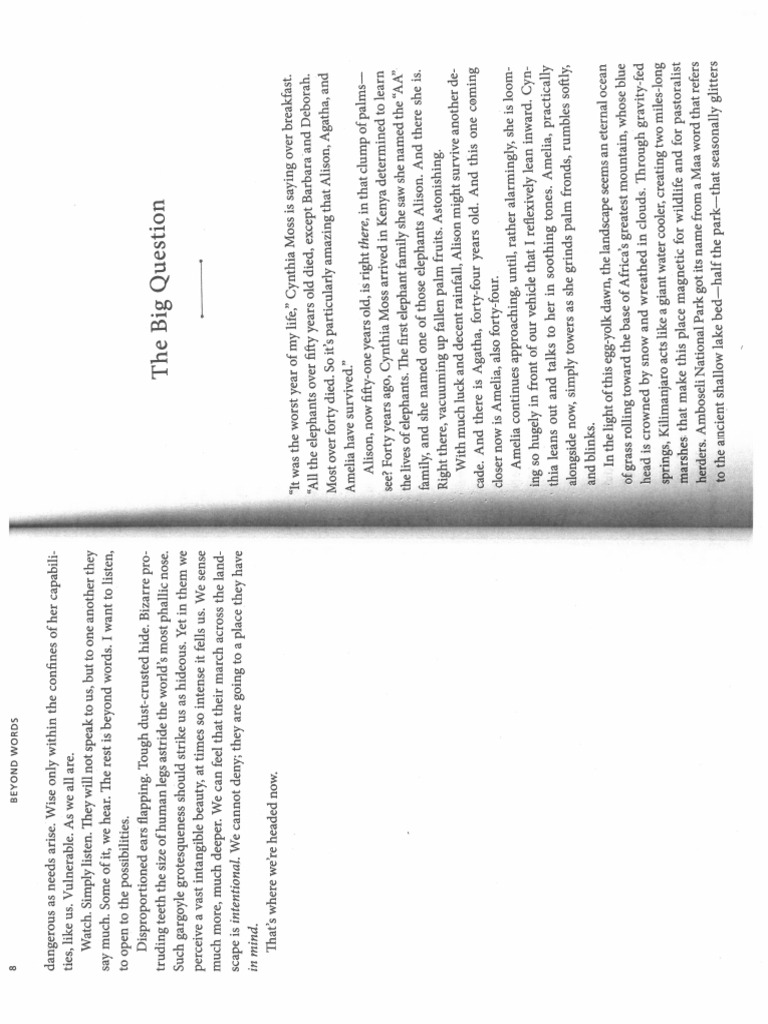 Safina, Beyond Words | PDF