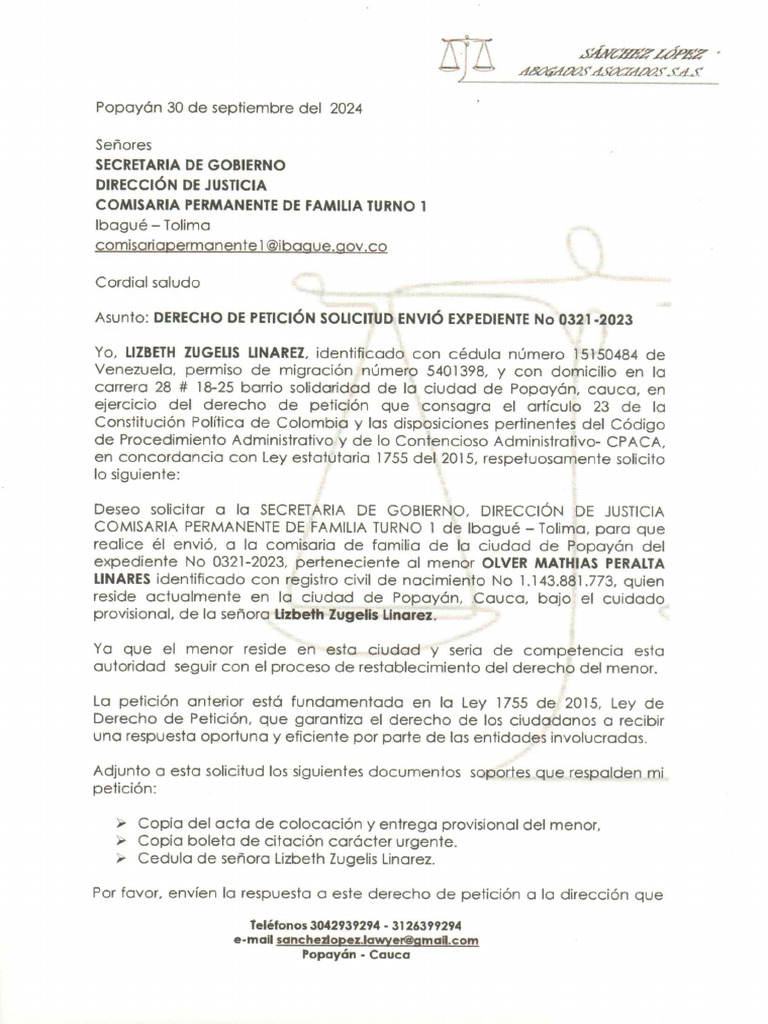 Lisbeth Solicitud | PDF