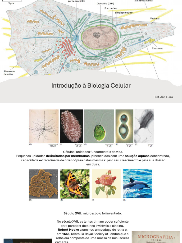 Intro da bio celular | PDF