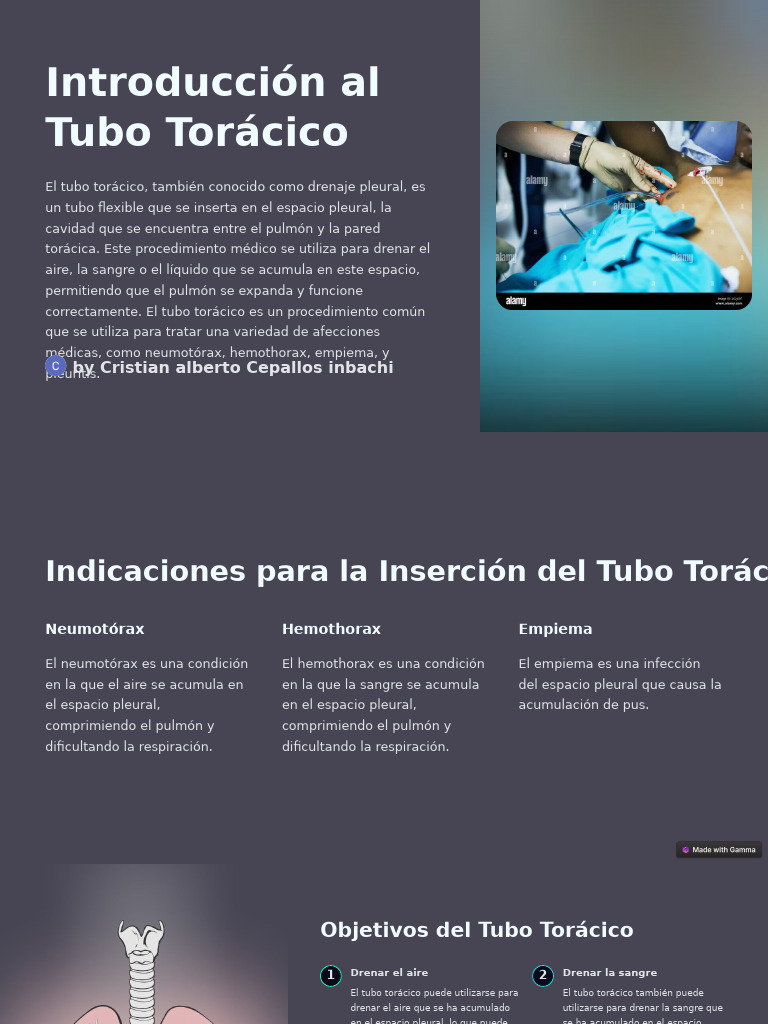 Introduccion Al Tubo Toracico | PDF