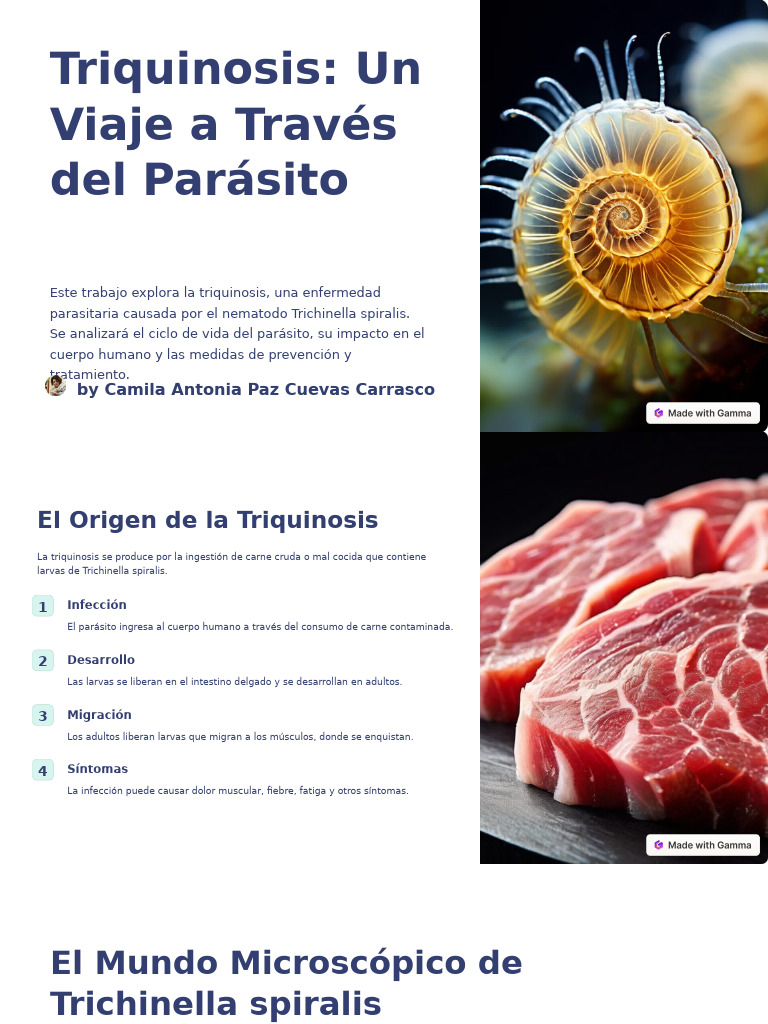Triquinosis Un Viaje A Traves Del Parasito | PDF