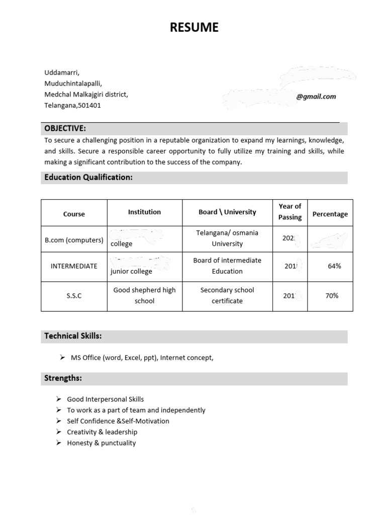 Entry-Level Job Seeker Resume | PDF