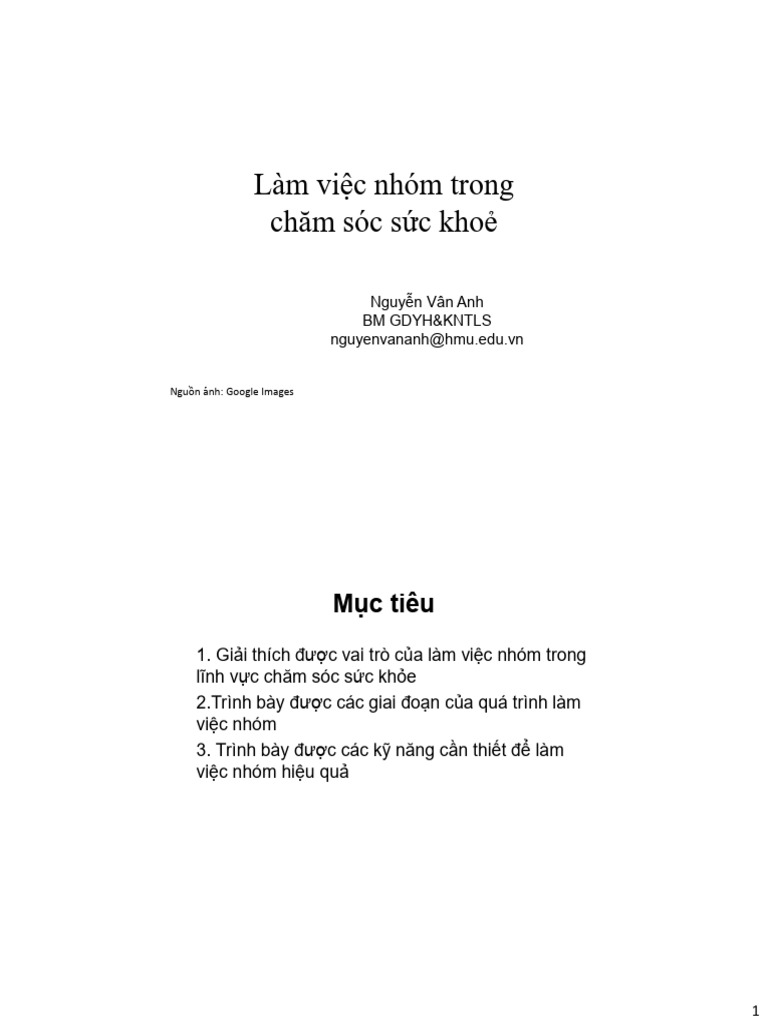 SEM 2.S2.1.MD - Làm Việc Nhóm Trong Chăm Sóc Sức Khỏe | PDF