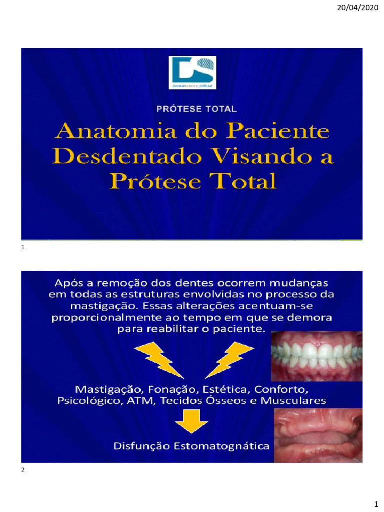 3 Exeme Clinico PT | PDF