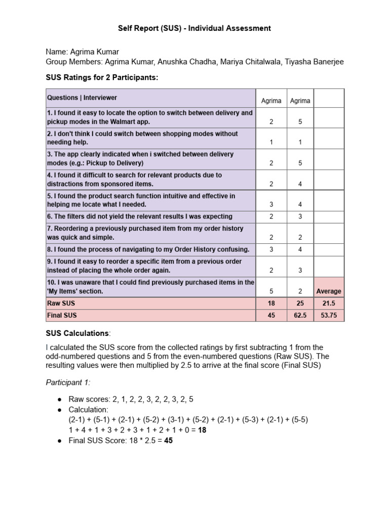 Self Report (SUS) - Individual Assessment | PDF