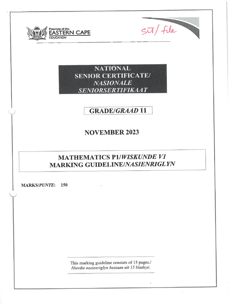 2023 Grade 11 Maths November Paper 1 Solutions | PDF