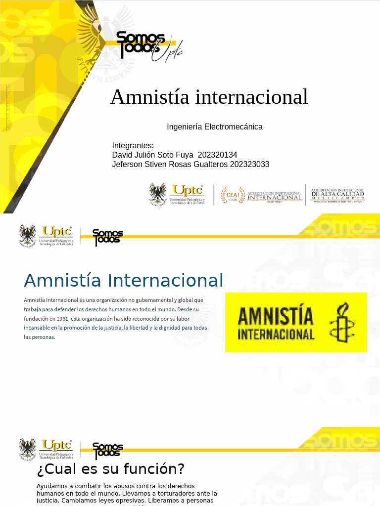 Amnistia Internacional Presentacion | PDF