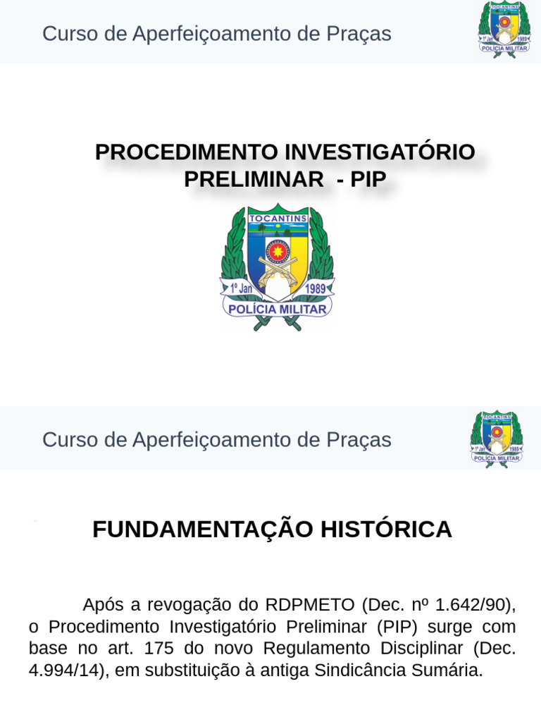 Pip | PDF