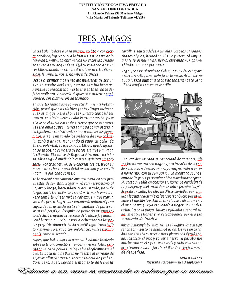 Plan Lector - 1ro Sec. SAP | PDF