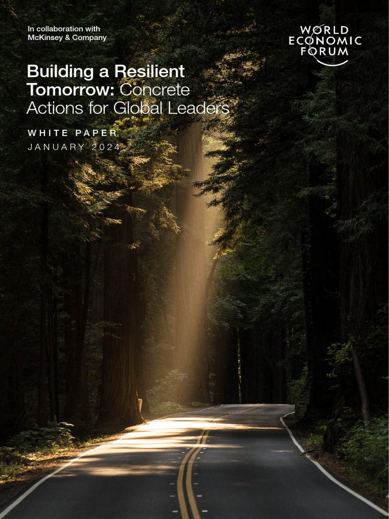 wef_building_a_resilient_tomorrow_2024 | PDF