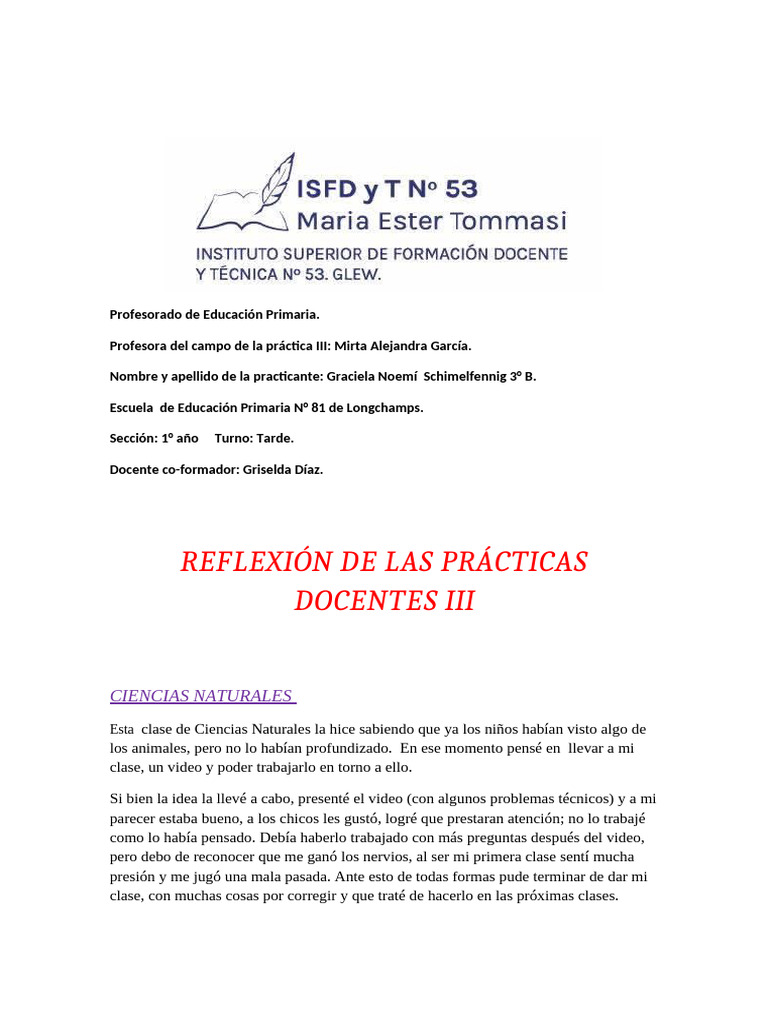 Reflexión de Las Prácticas Docentes - 045715 | PDF