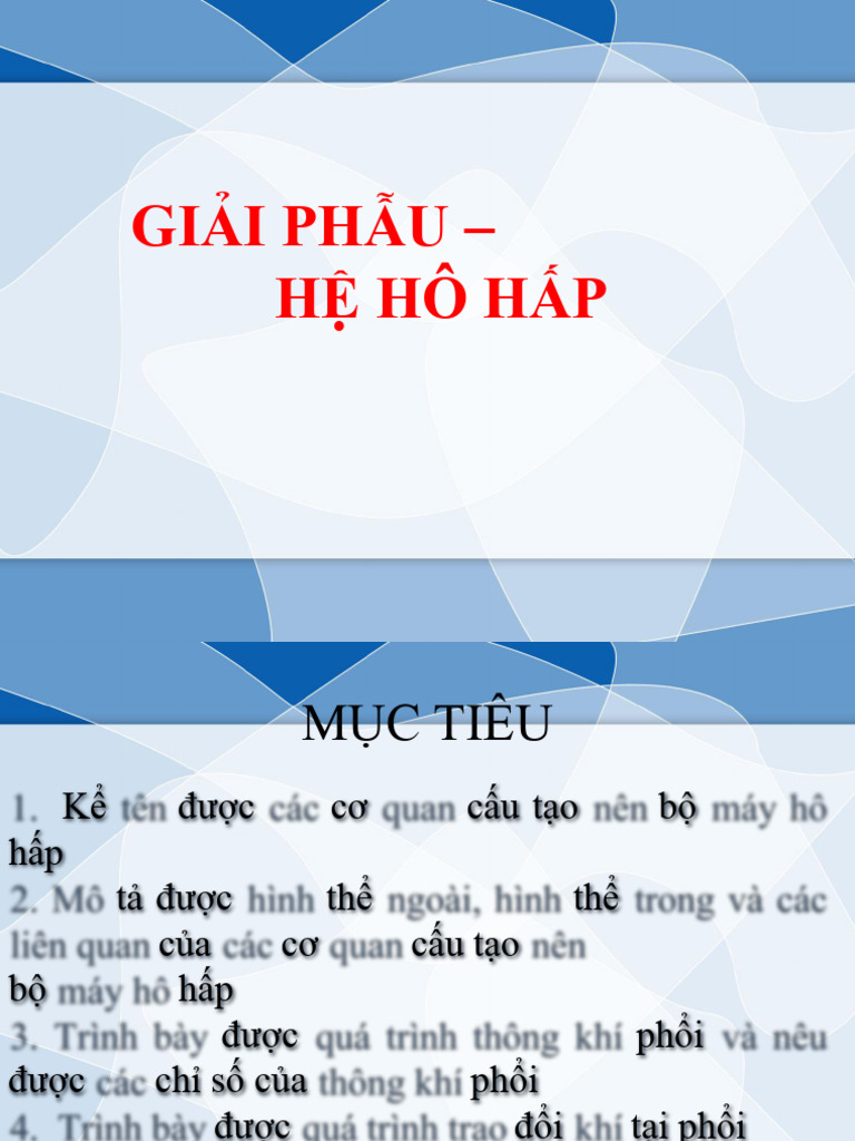 GPSL He Ho Hap | PDF | Vietnam