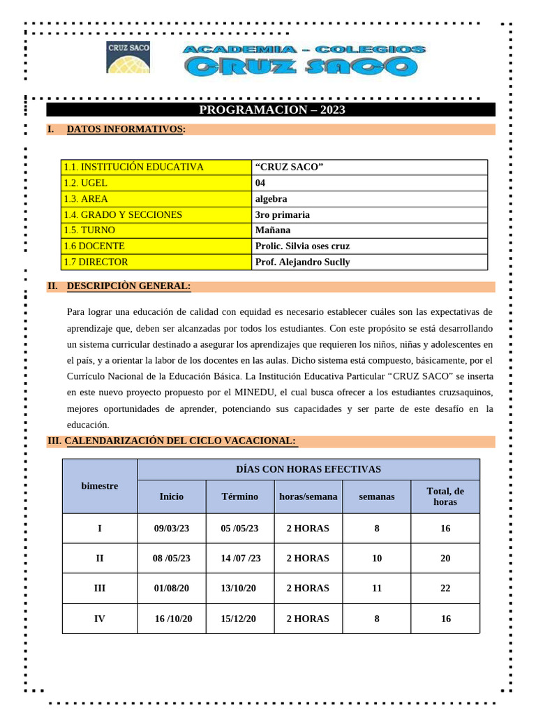 Formato Cruz Saco | PDF