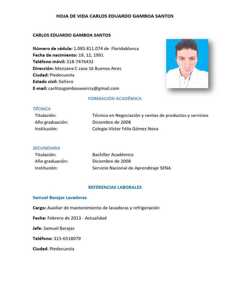 CV Carlos Eduardo | PDF