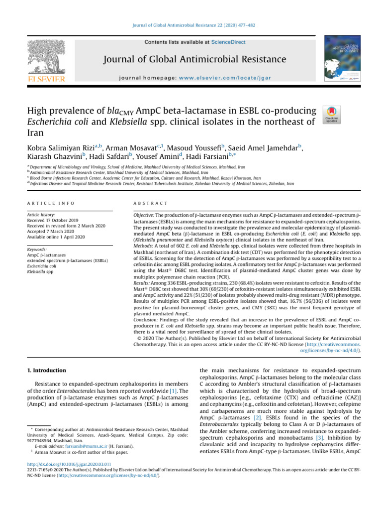 High Prevalence of blaCMY AmpC Beta-Lactamase in ESBL Co-Producing E Coli and K Penumoniae | PDF