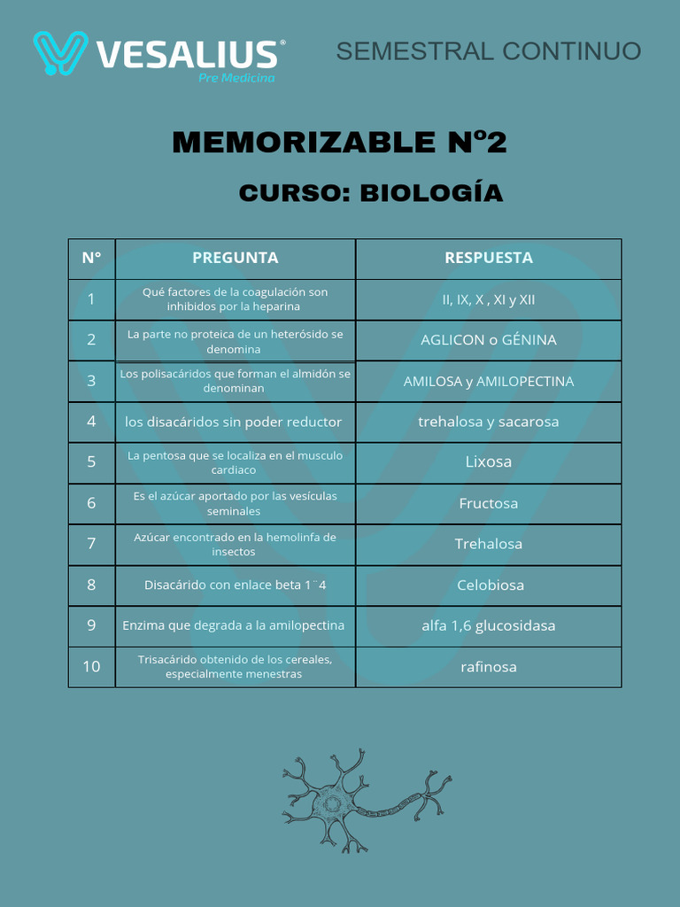 Memorizable N°2 | PDF