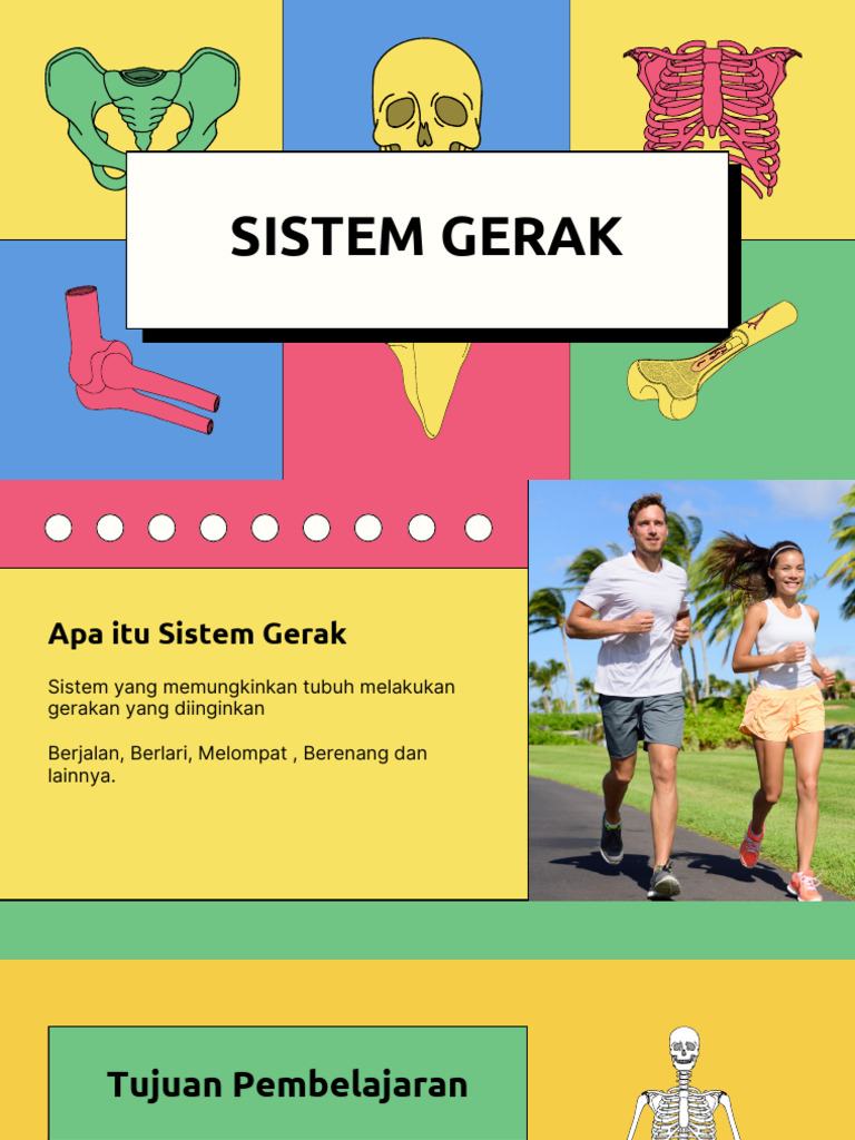 Sistem Gerak | PDF
