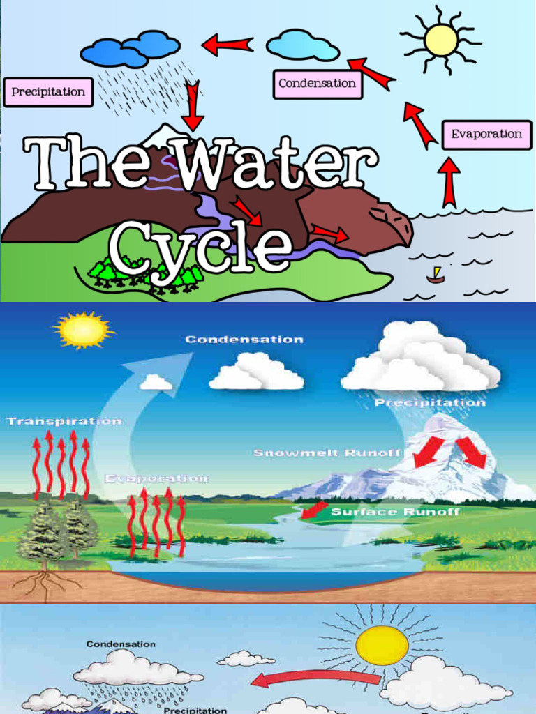 Water cycle | PDF