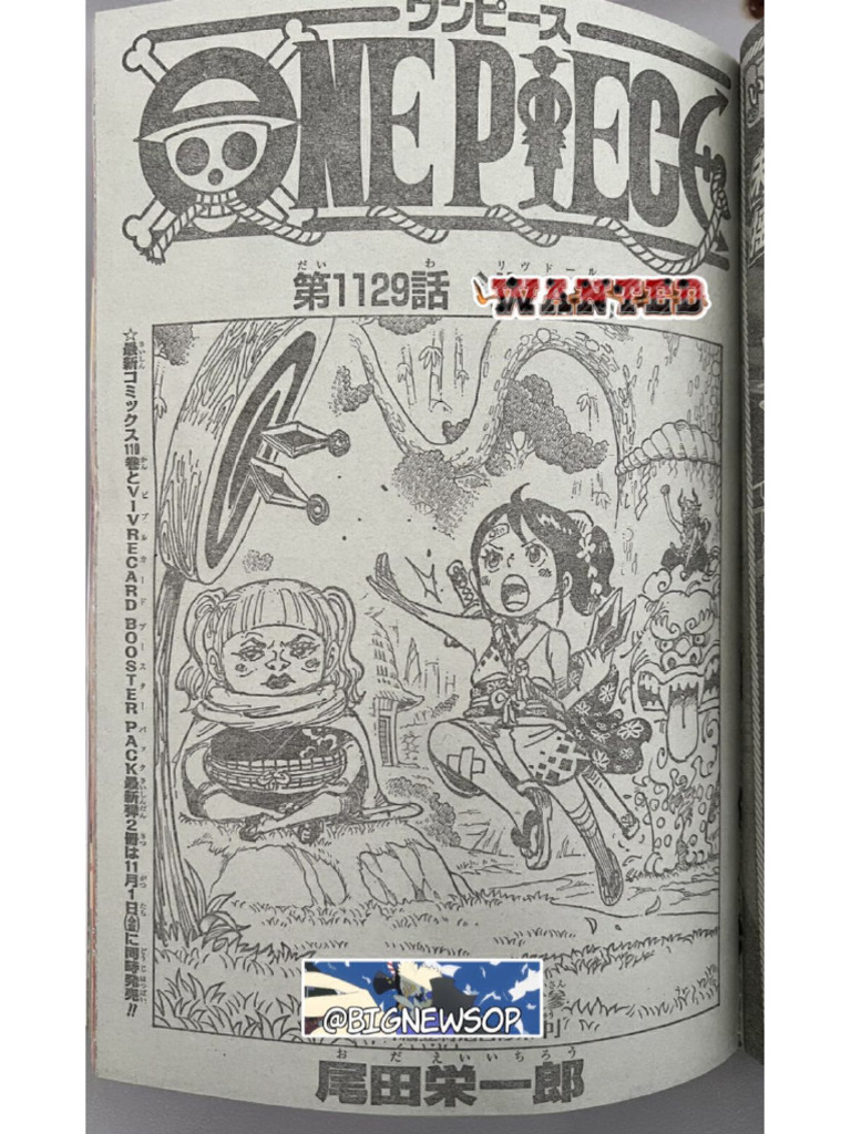 One Piece Cap 1129 Raws | PDF