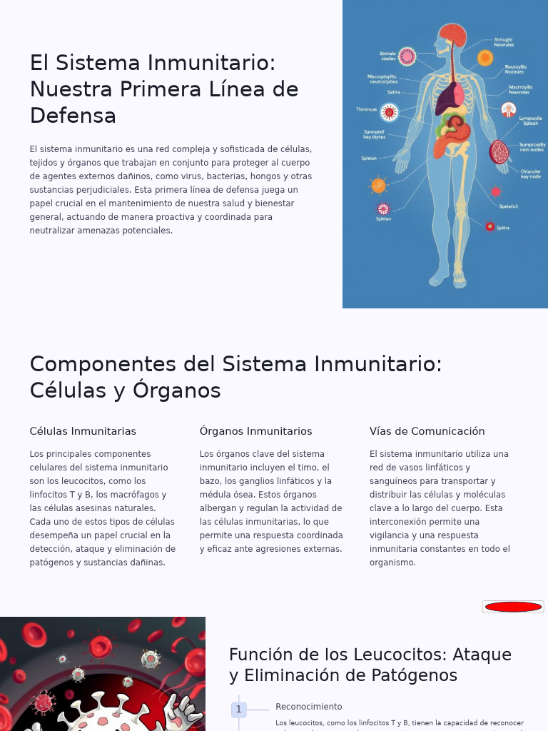 Sistema Inmunitario | PDF