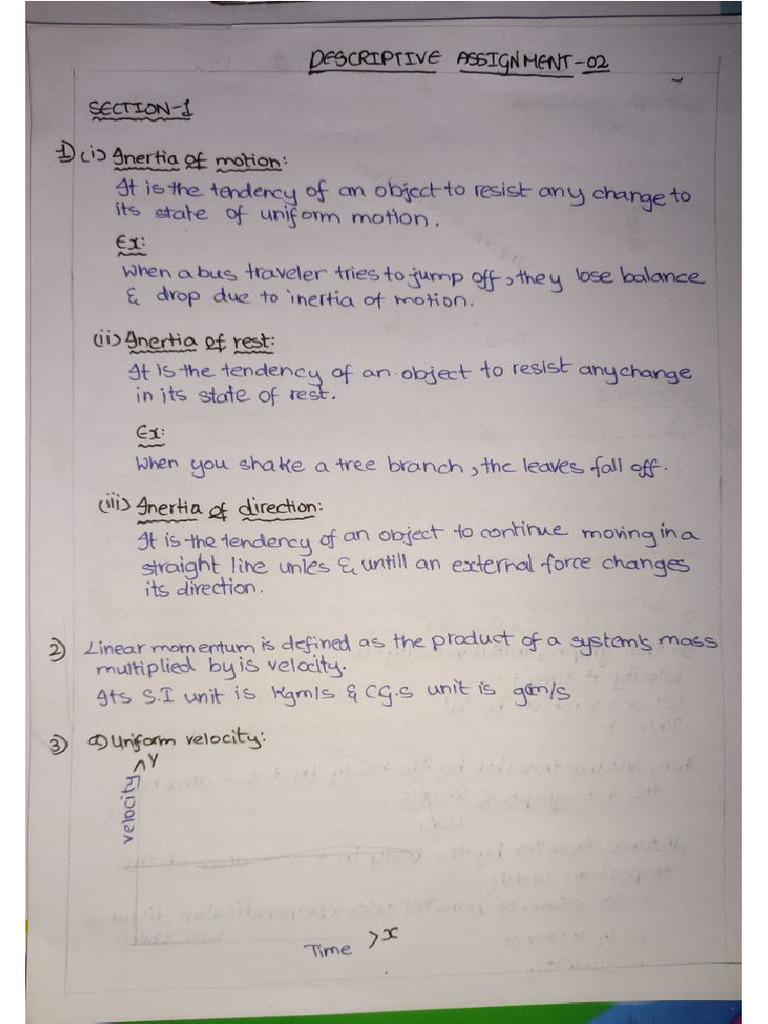 Descriptive Assignment | PDF