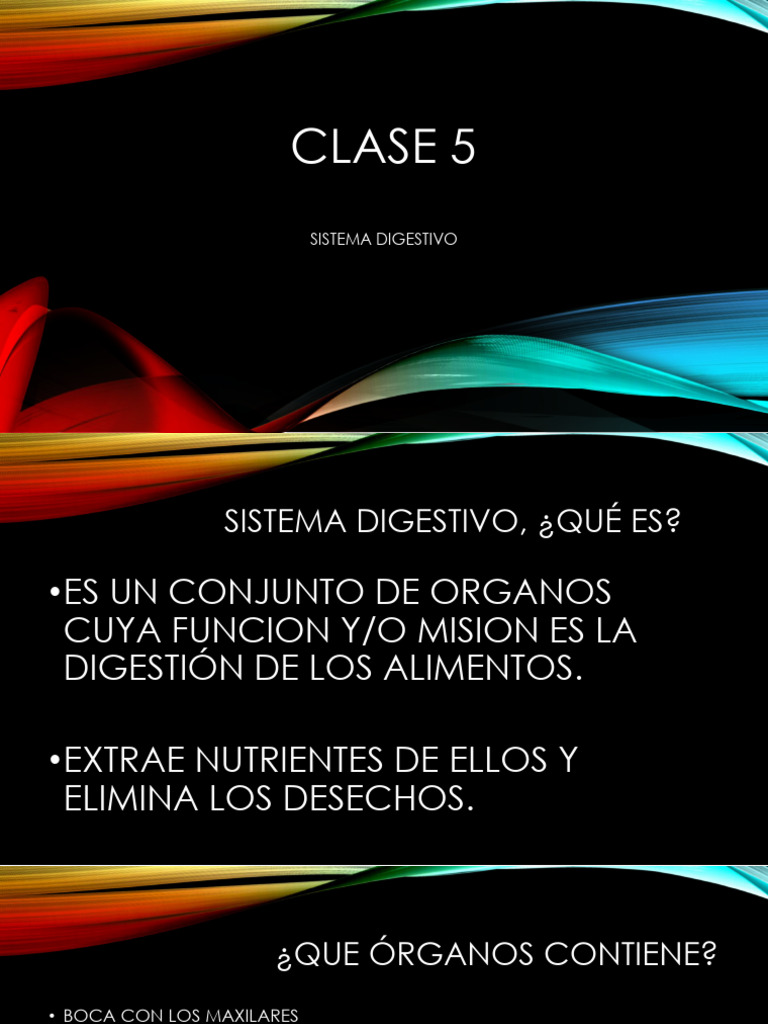 CLASE 5 (SISTEMA DIGESTIVO) | PDF