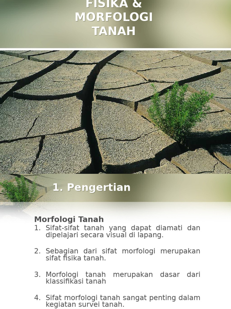TM 14 Morfologi Tanah | PDF