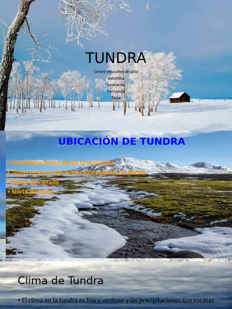 Expocision Tundra | PDF