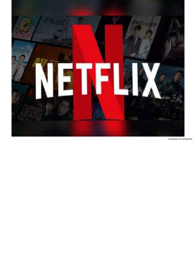 Netflix | PDF