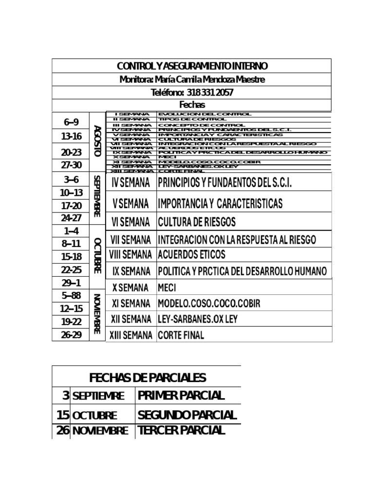MCMM Aseguremiento y Control Interno | PDF