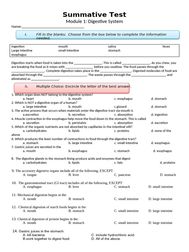 Summative Test Digestive System | PDF