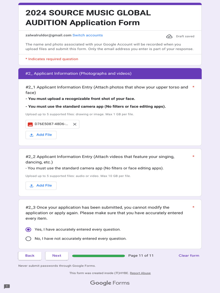 2024 SOURCE MUSIC GLOBAL AUDITION Application Form | PDF