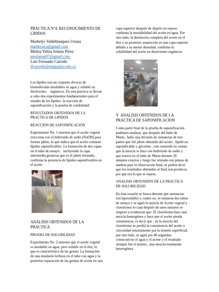 Lipidos Practica 5 Pdf Solubilidad Química