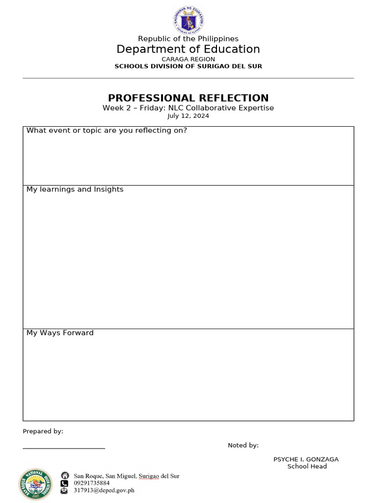 Professional Reflection Sample | PDF