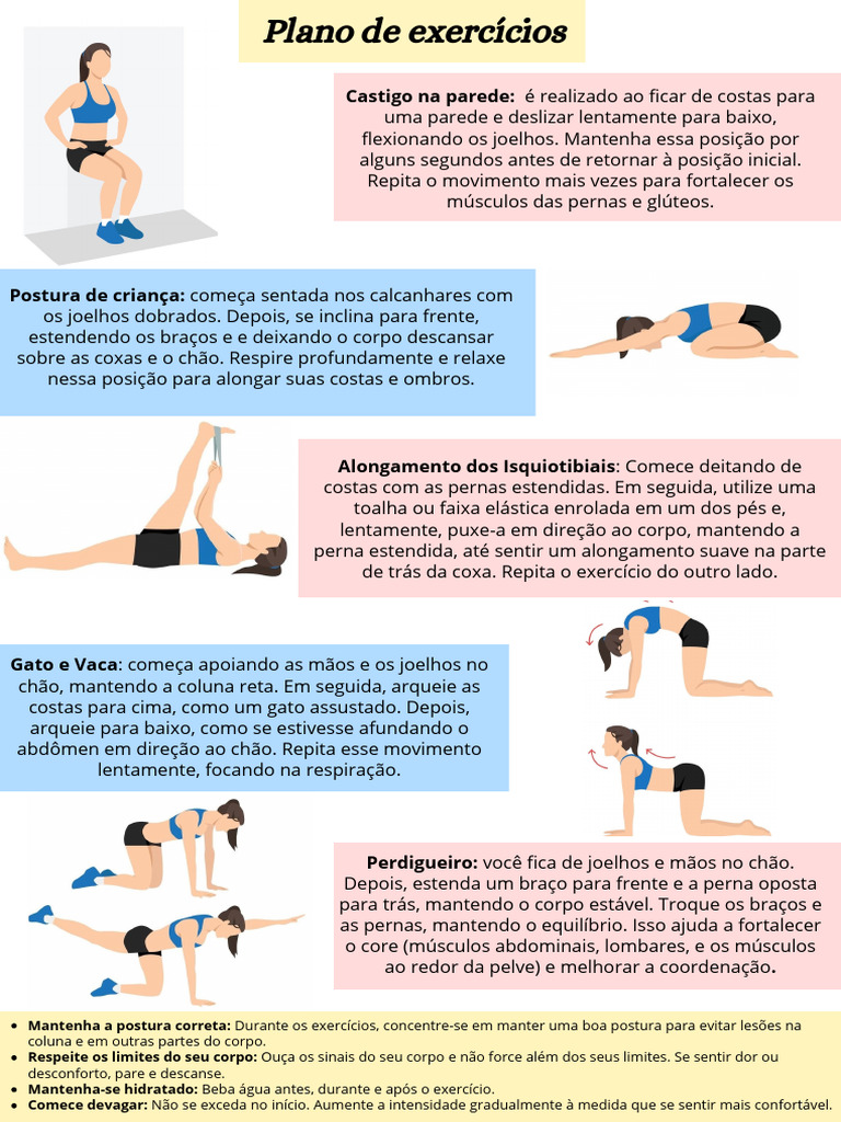 Dor Lombar - Cartilha de Exercícios | PDF