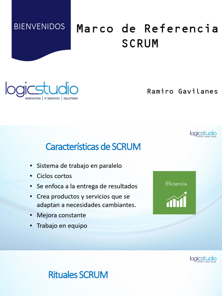 LS-SCRUM-RGM | PDF
