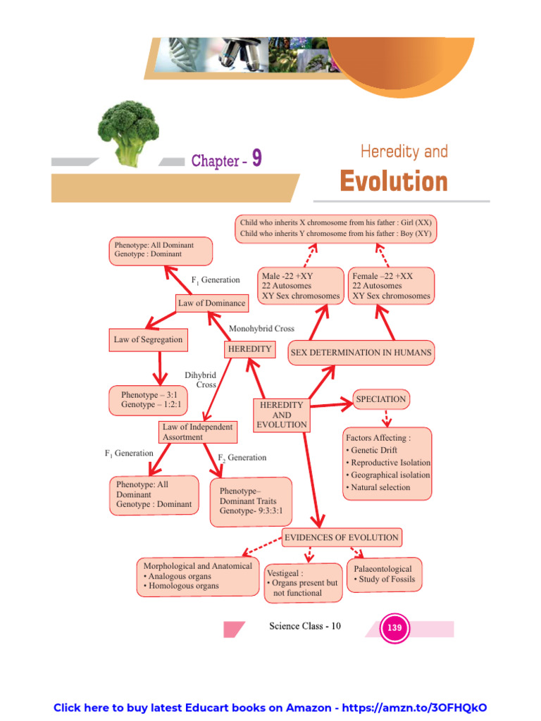 Chapter 9 Heredity and Evolution | PDF