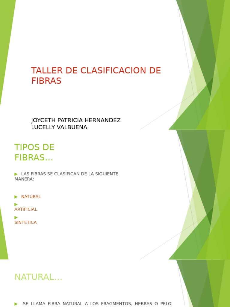 Taller de Clasificacion de Fibras | PDF