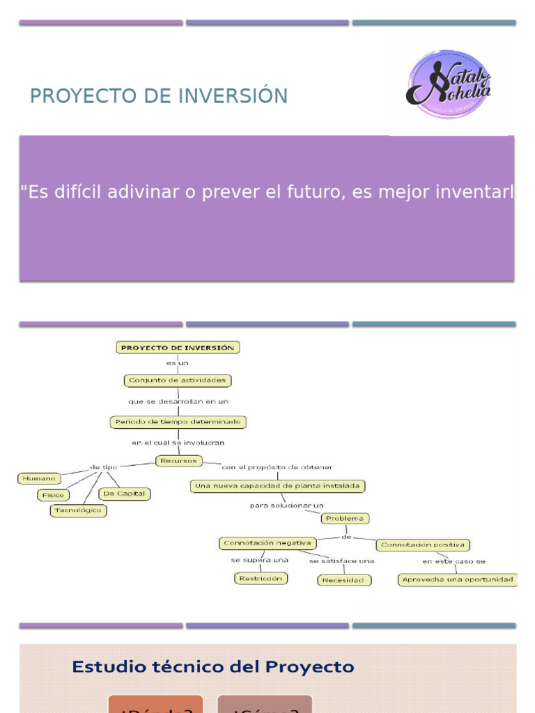 Proyecto de Inversión | PDF