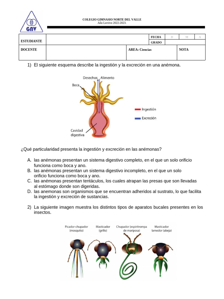 Examen primer periodo septimo | PDF