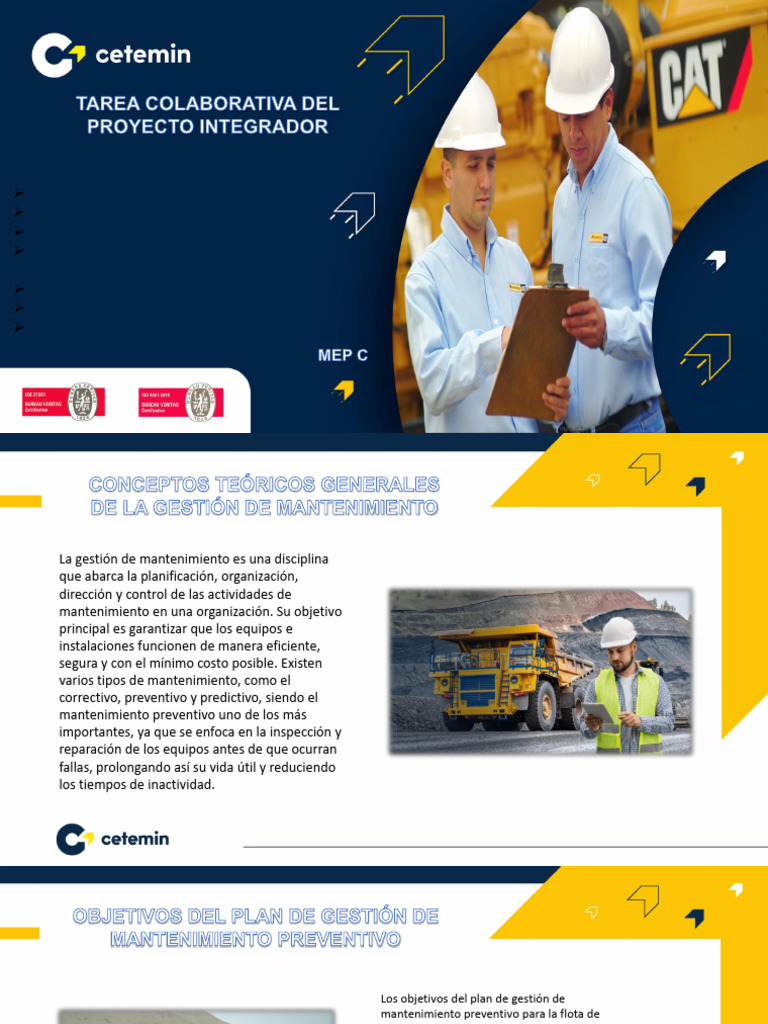 Tarea Colaborativa Del Proyecto Integrador | PDF