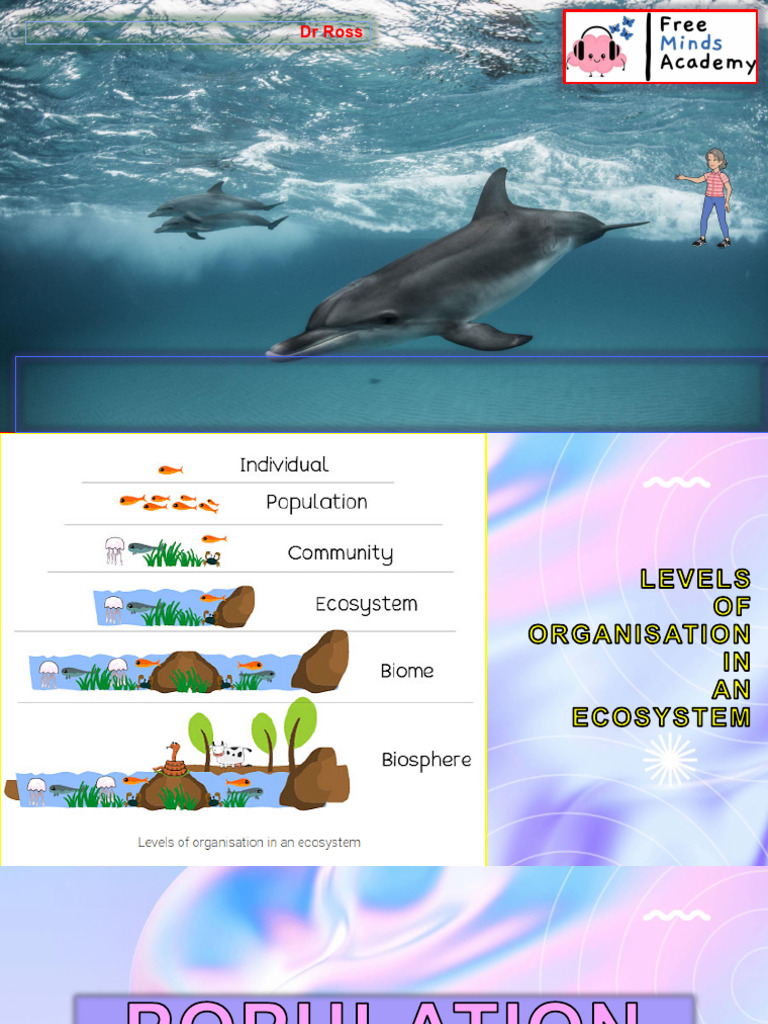 Lesson 4 - Population Ecology 1 - Population Size - Term 3 - G11 | PDF
