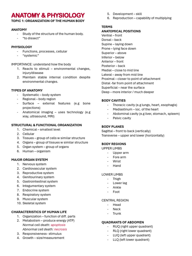 Anaphy Hahaha | PDF