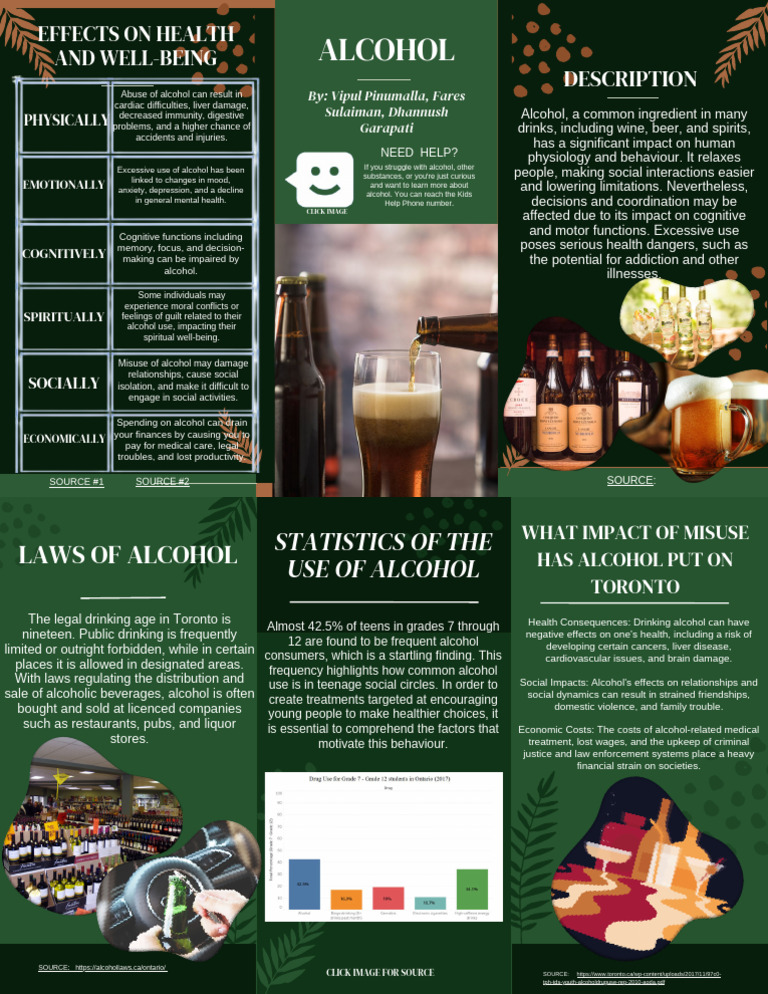 Alcohol Drug Assignment | PDF