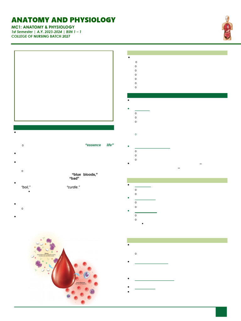 Anaphy - Lec - Chapter 11 - Blood | PDF