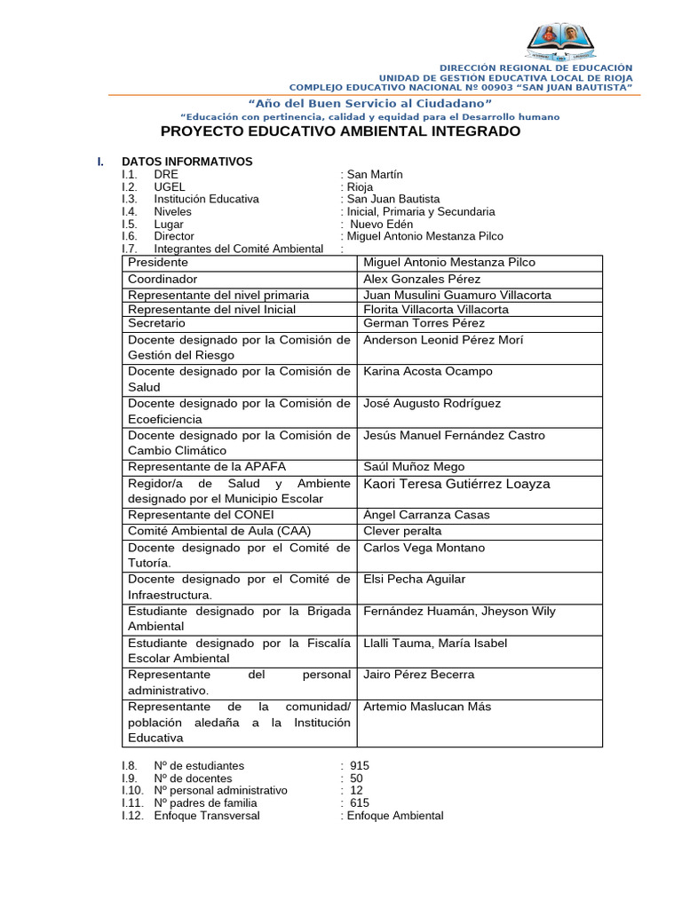 PAEI | PDF